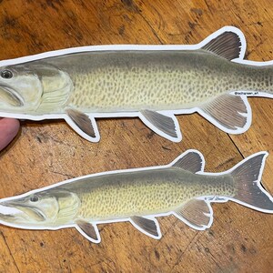 Vinyl Decal, Musky! - Etsy