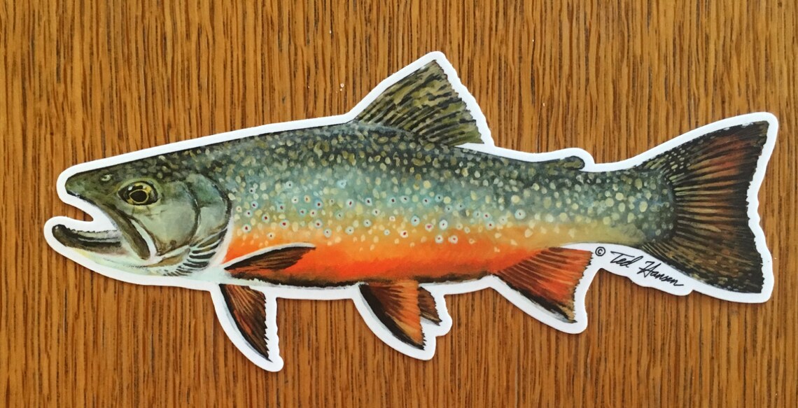 Brook Trout Vinyl Decal - Etsy