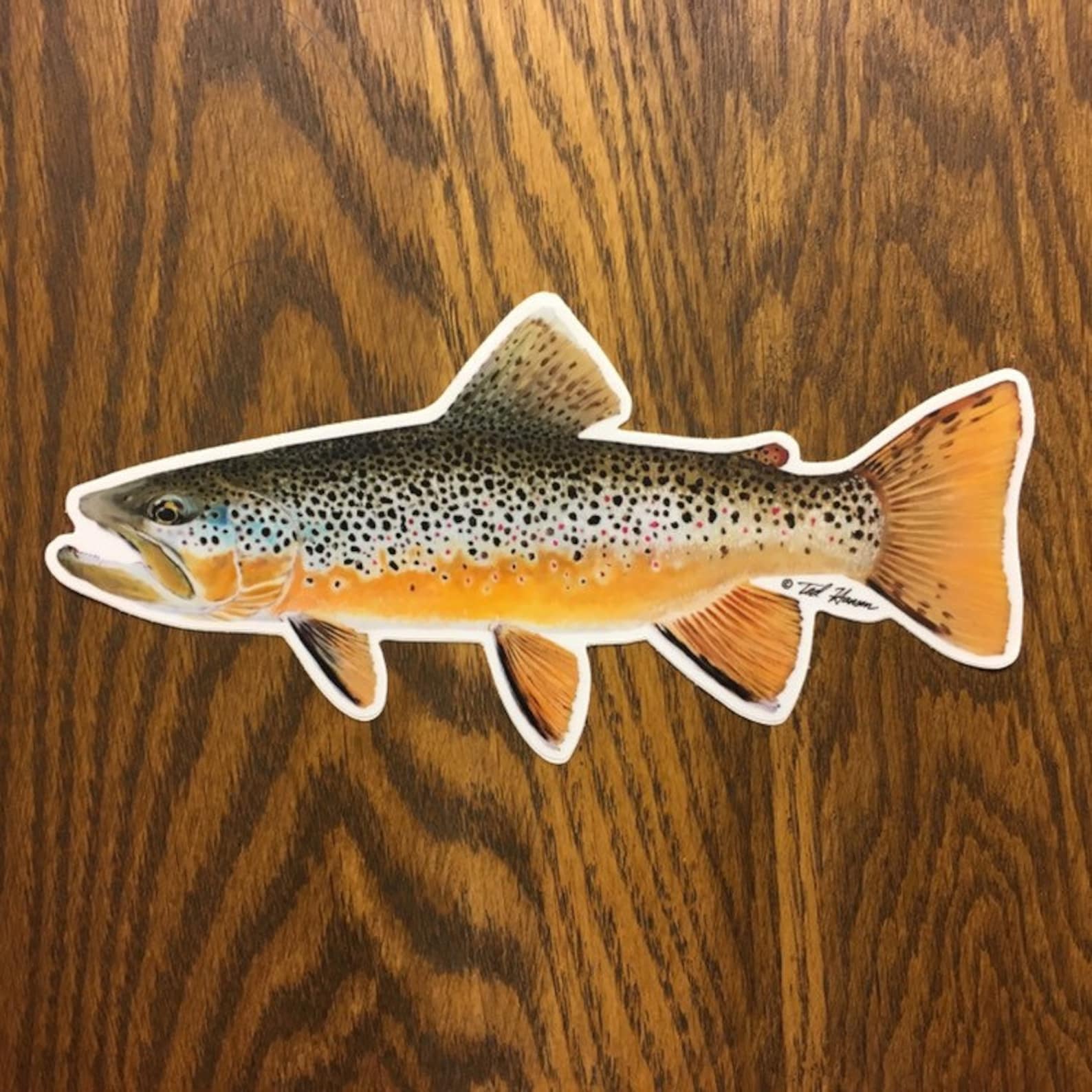Brown Trout Decal - Etsy