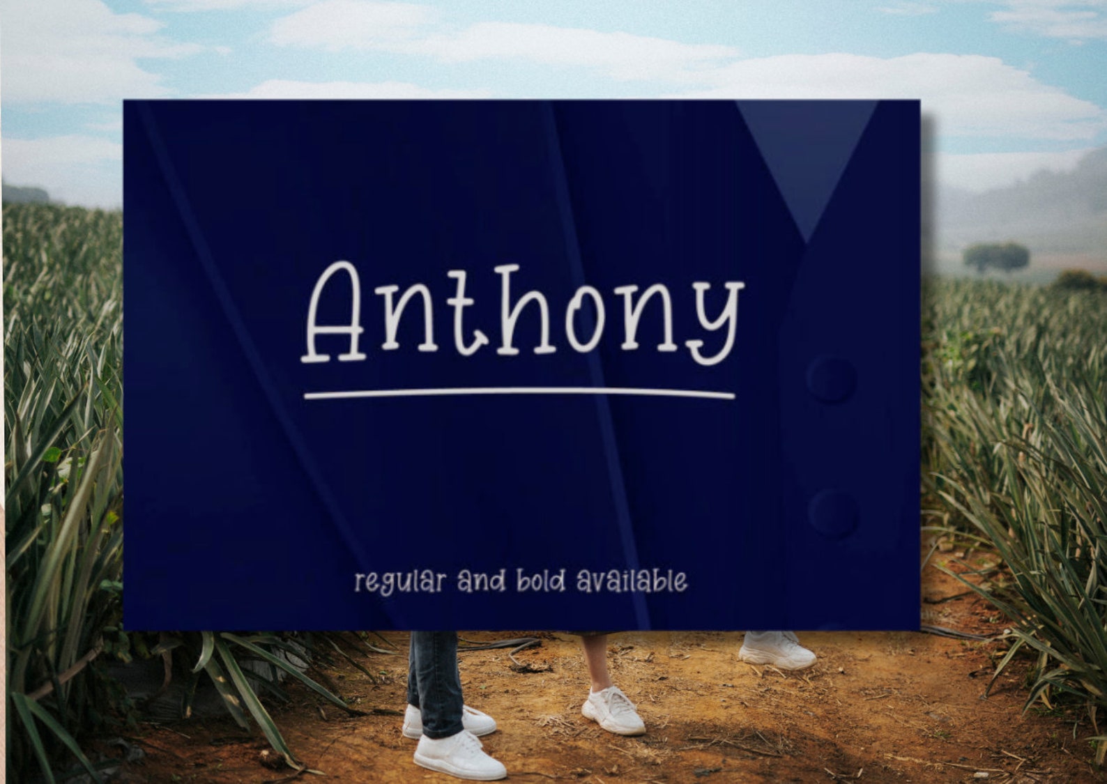 Anthony Bold Font Retro Font, Serif Font, Swash Font, Fonts for Cricut ...