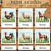 Farm Animals 3-part Nomenclature Cards Polaroid-style and Watercolour ...