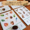 Woodland Number Flashcards 1-10 | Toddler Counting Cards | Preschool ...
