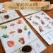 Farm Animals Count and Clip Cards for Toddlers and Preschoolers ...