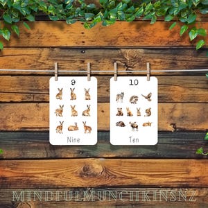 Woodland Number Flashcards 1-10 | Toddler Counting Cards | Preschool ...
