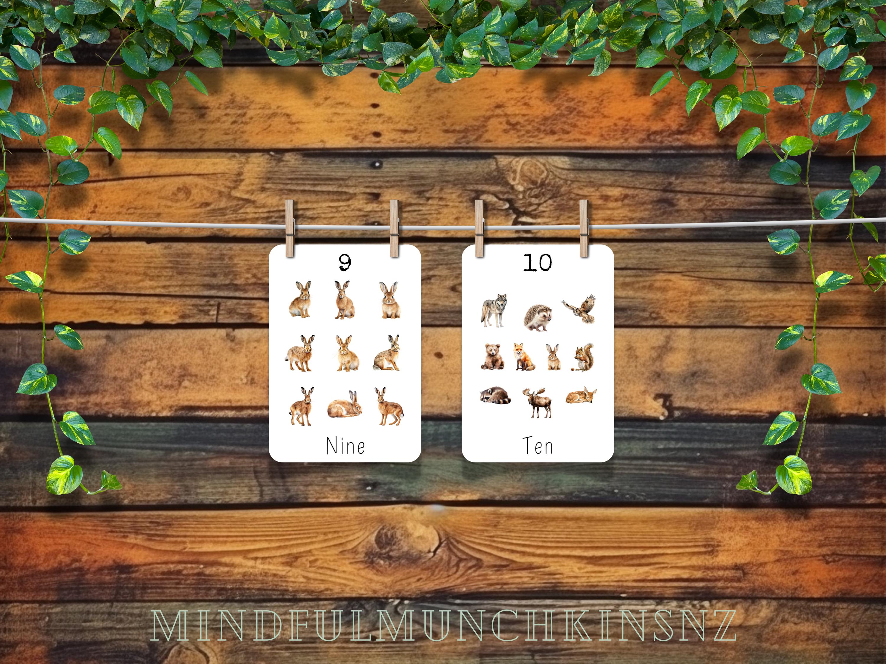 Woodland Number Flashcards 1-10 | Toddler Counting Cards | Preschool ...
