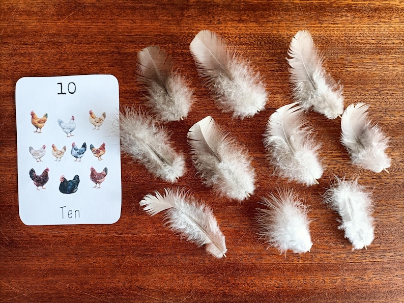 FARM Animals Number Flashcards 1-10 | Toddler Counting Cards ...