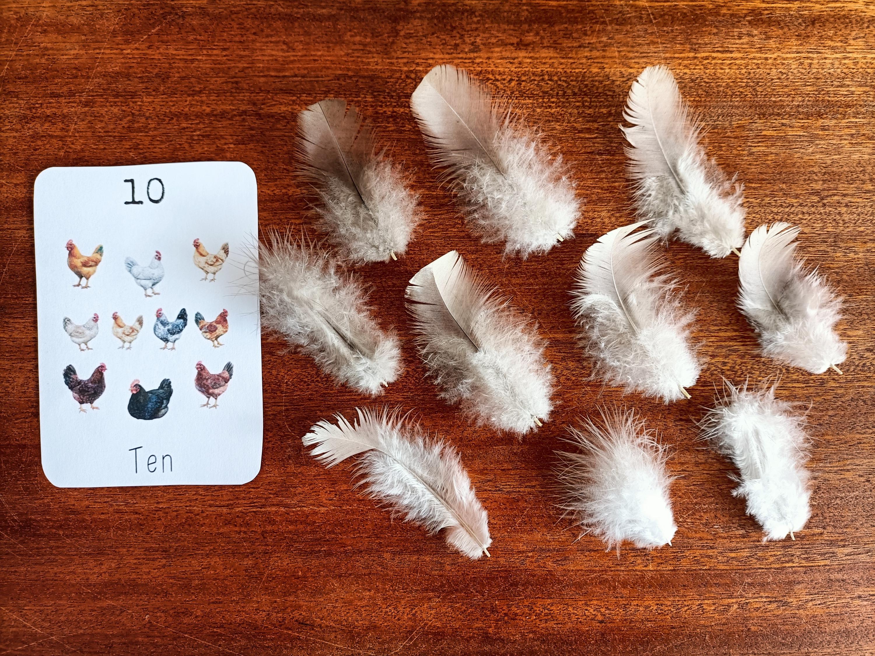 FARM Animals Number Flashcards 1-10 | Toddler Counting Cards ...