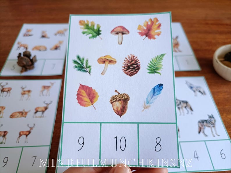 Woodland Count and Clip Cards for Toddlers and Preschoolers | Numbers 1 ...