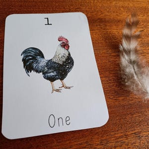 FARM Animals Number Flashcards 1-10 | Toddler Counting Cards ...