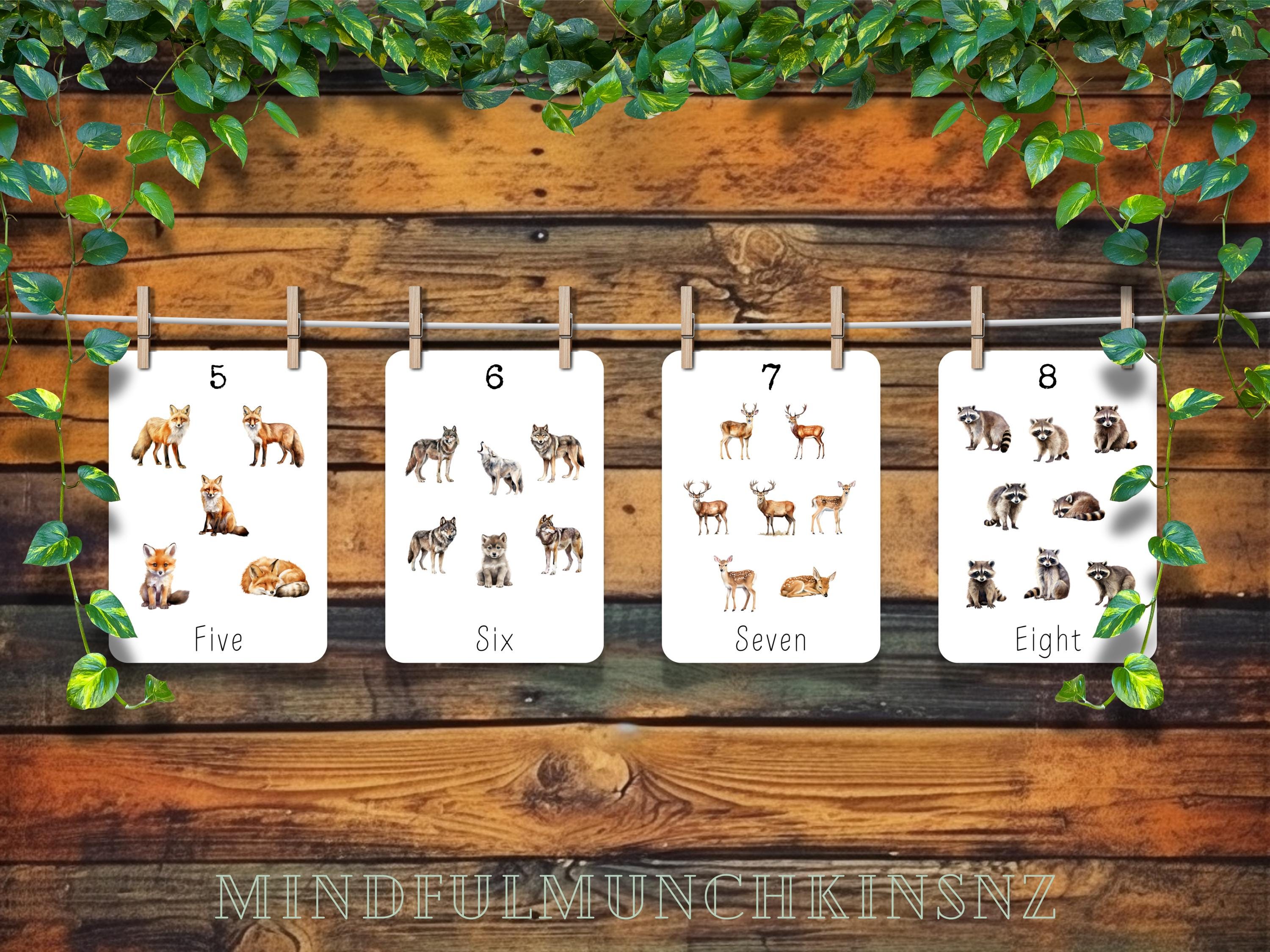 Woodland Number Flashcards 1-10 | Toddler Counting Cards | Preschool ...