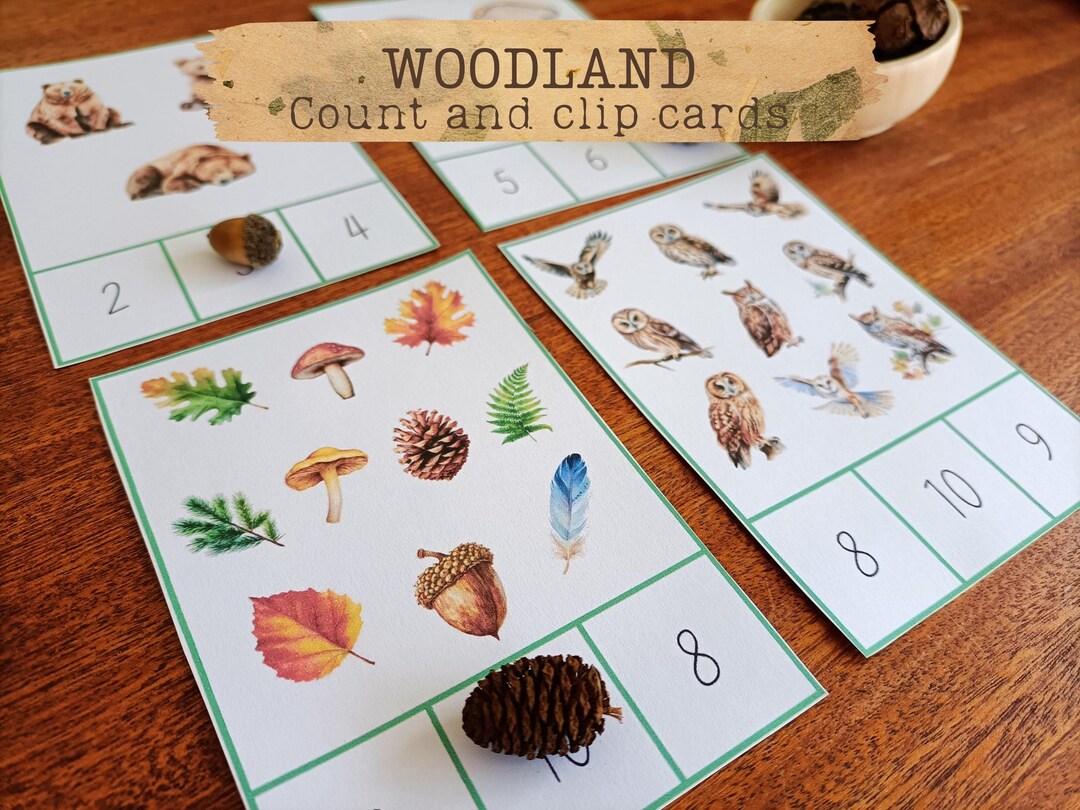 Woodland Count and Clip Cards for Toddlers and Preschoolers | Numbers 1 ...