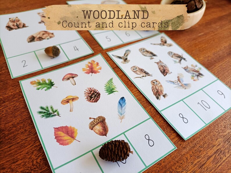 Woodland Count and Clip Cards for Toddlers and Preschoolers | Numbers 1 ...