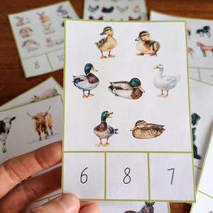 Farm Animals Count and Clip Cards for Toddlers and Preschoolers ...
