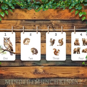 Woodland Number Flashcards 1-10 | Toddler Counting Cards | Preschool ...