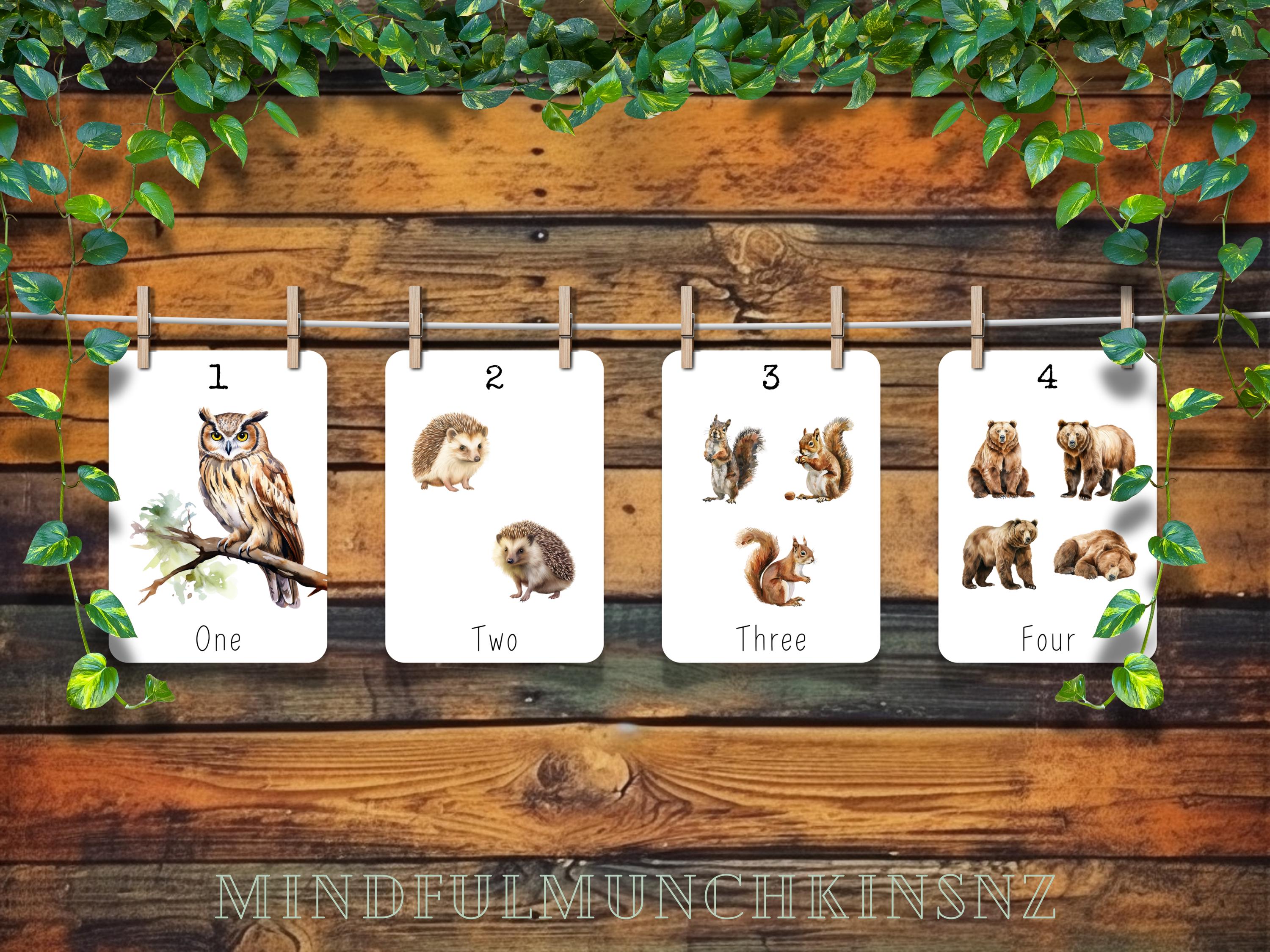 Woodland Number Flashcards 1-10 | Toddler Counting Cards | Preschool ...