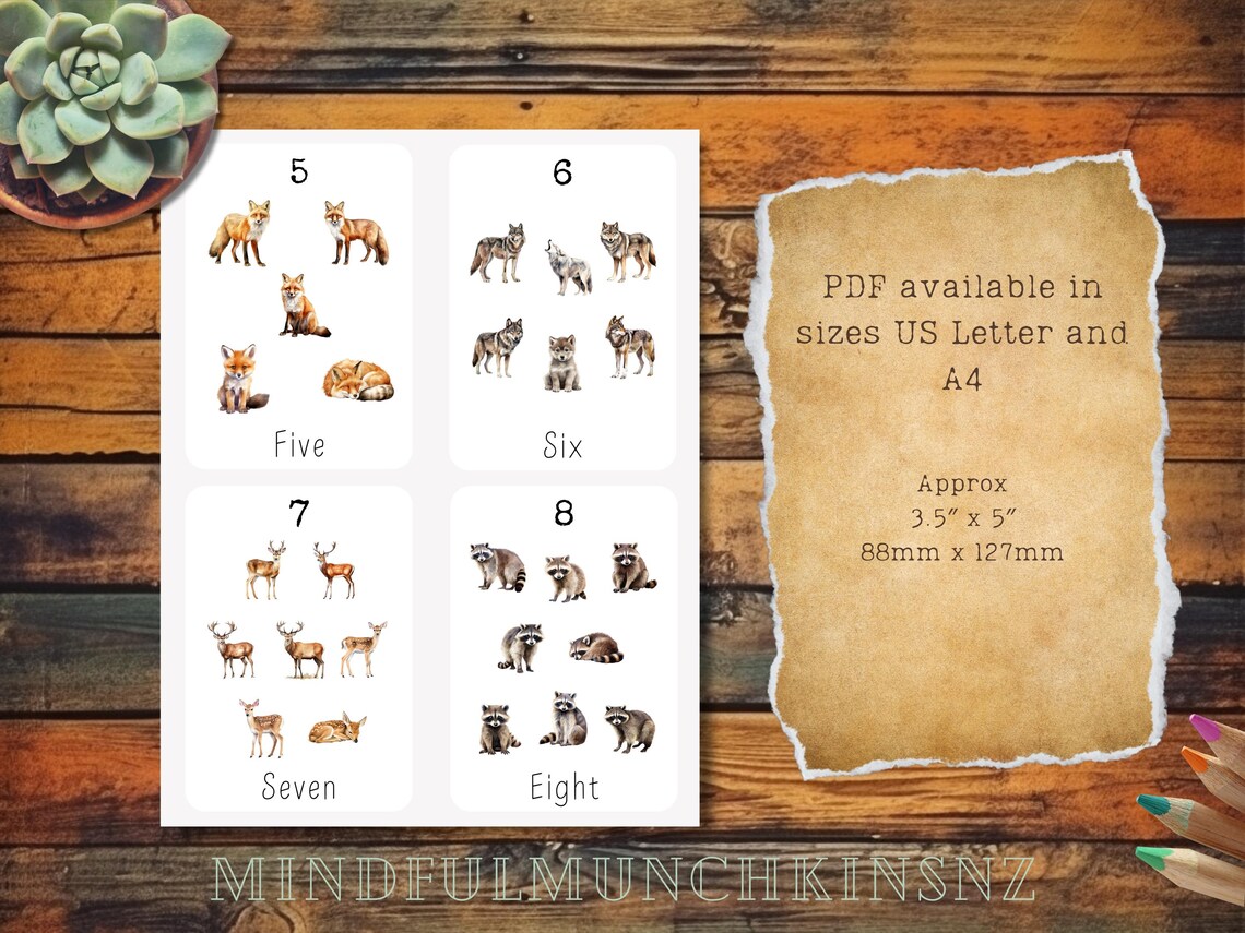Woodland Number Flashcards 1-10 | Toddler Counting Cards | Preschool ...