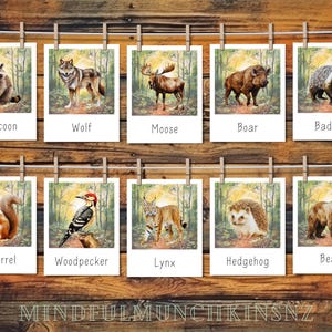 Woodland Animals 3-part Nomenclature Cards | Polaroid-style Watercolour ...
