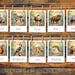 Woodland Animals 3-part Nomenclature Cards | Polaroid-style Watercolour ...