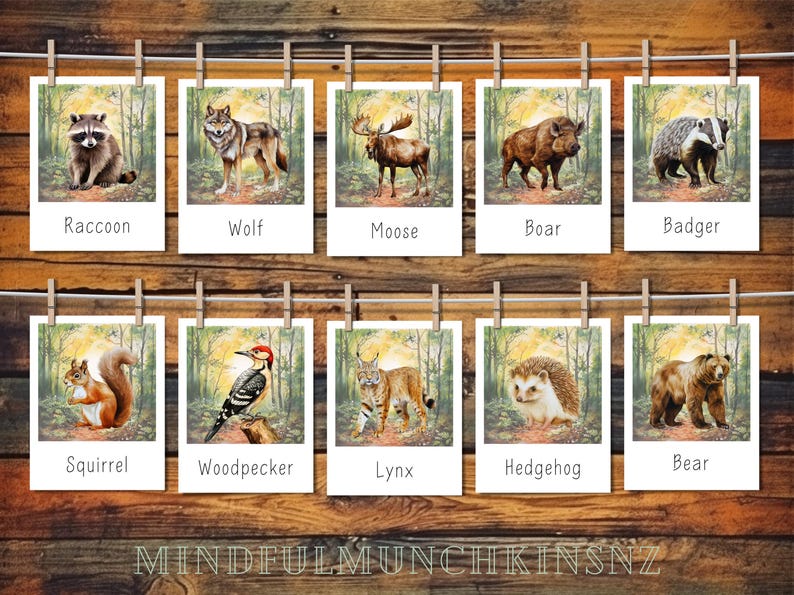 Woodland Animals 3-part Nomenclature Cards | Polaroid-style Watercolour ...