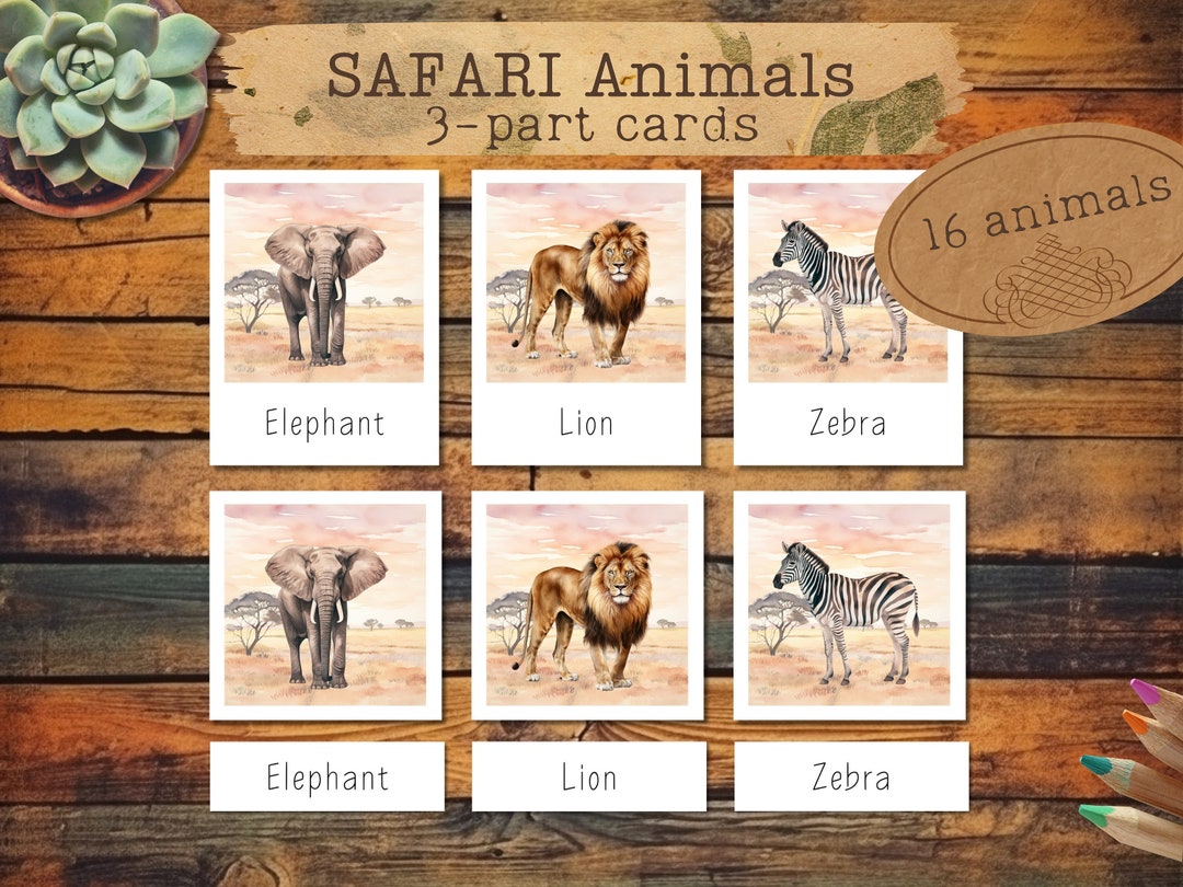 Safari Animals 3-part Nomenclature Cards | Polaroid-style and ...