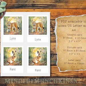 Woodland Animals 3-part Nomenclature Cards | Polaroid-style Watercolour ...