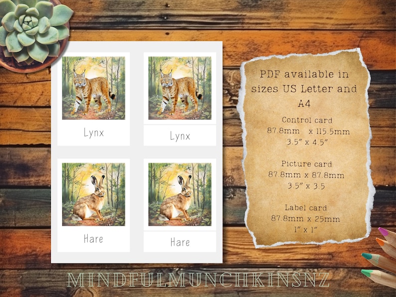 Woodland Animals 3-part Nomenclature Cards Polaroid-style Watercolour ...