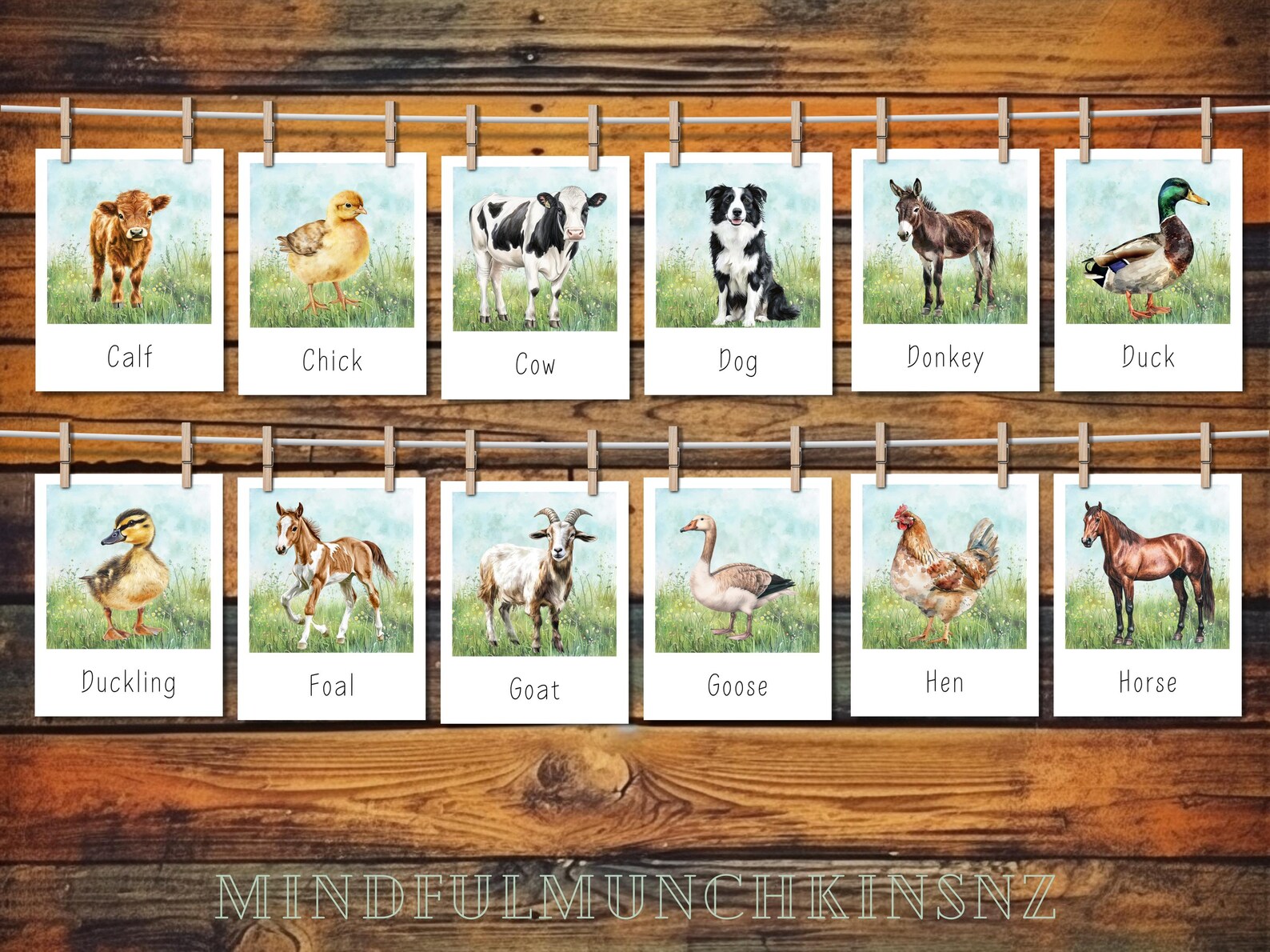 Farm Animals 3-part Nomenclature Cards | Polaroid-style and Watercolour ...
