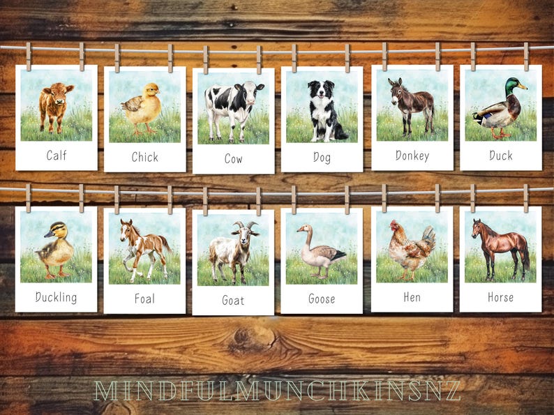 Farm Animals 3-part Nomenclature Cards | Polaroid-style and Watercolour ...