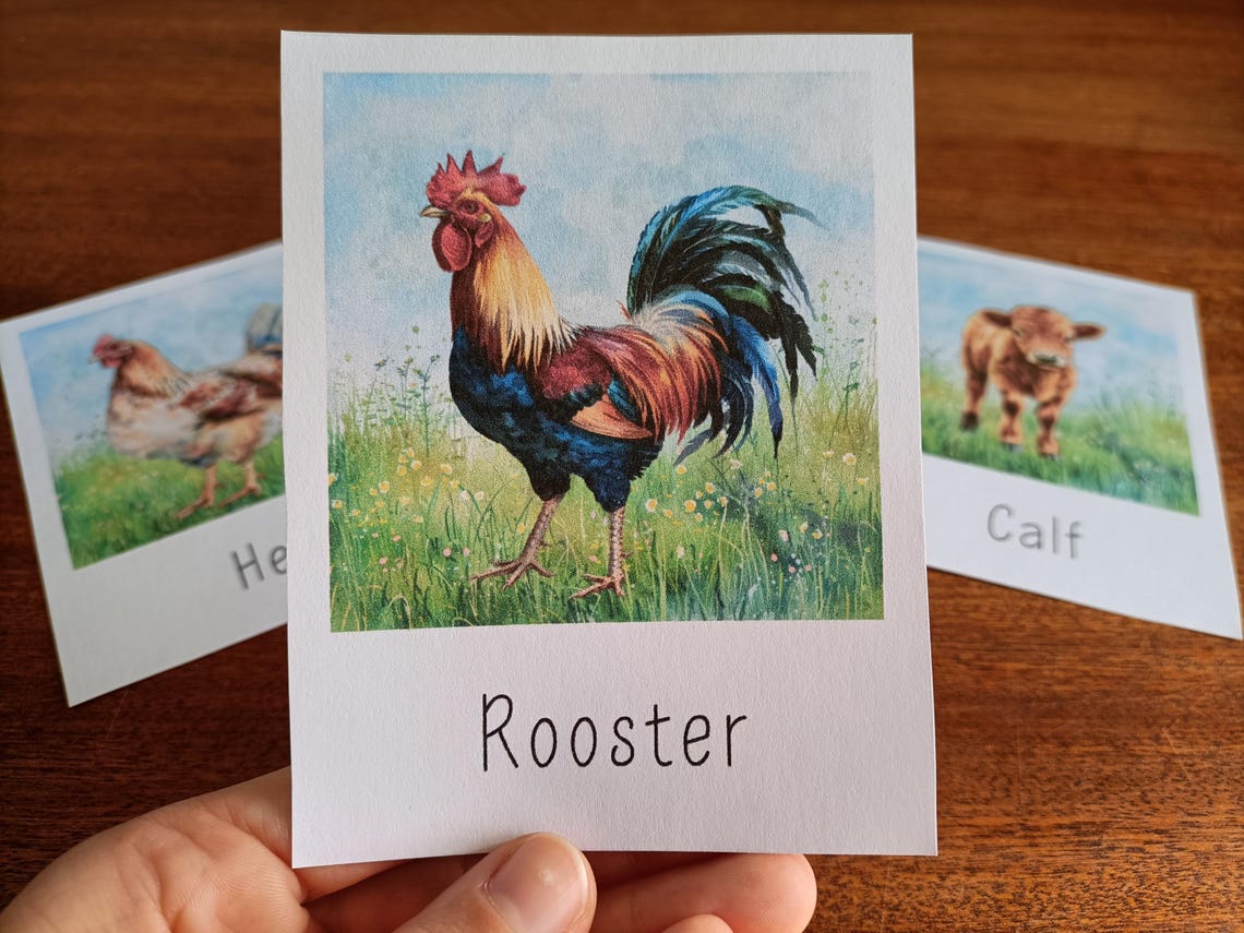 Farm Animals 3-part Nomenclature Cards | Polaroid-style and Watercolour ...