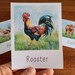 Farm Animals 3-part Nomenclature Cards | Polaroid-style and Watercolour ...