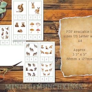 Woodland Count and Clip Cards for Toddlers and Preschoolers | Numbers 1 ...