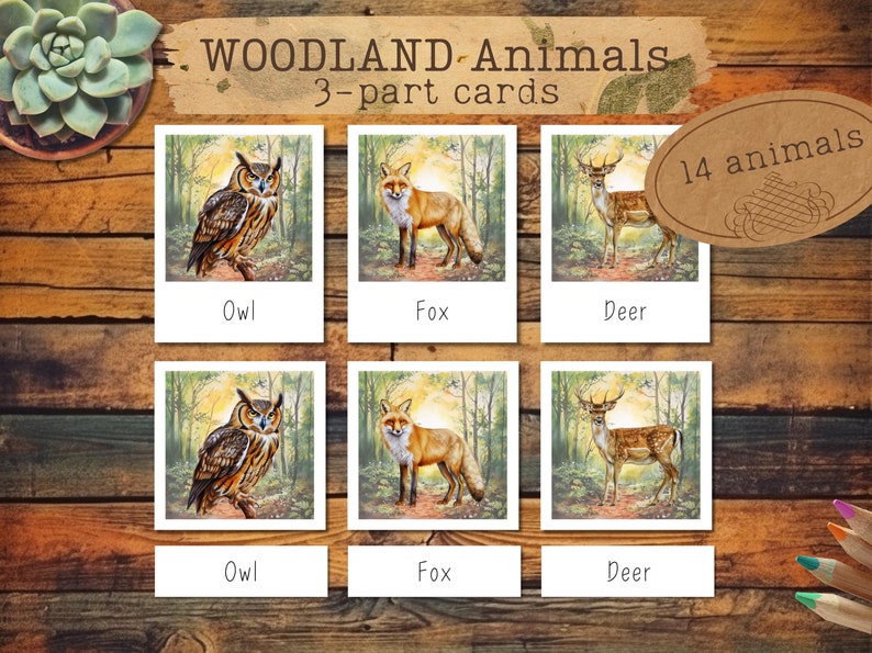 Woodland Animals 3-part Nomenclature Cards | Polaroid-style Watercolour ...