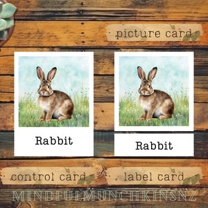 Farm Animals 3-part Nomenclature Cards Polaroid-style and Watercolour ...