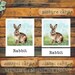 Farm Animals 3-part Nomenclature Cards Polaroid-style and Watercolour ...