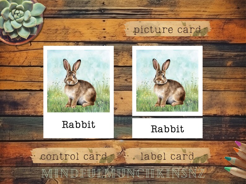 Farm Animals 3-part Nomenclature Cards Polaroid-style and Watercolour ...