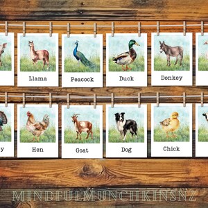 Farm Animals 3-part Nomenclature Cards Polaroid-style and Watercolour ...