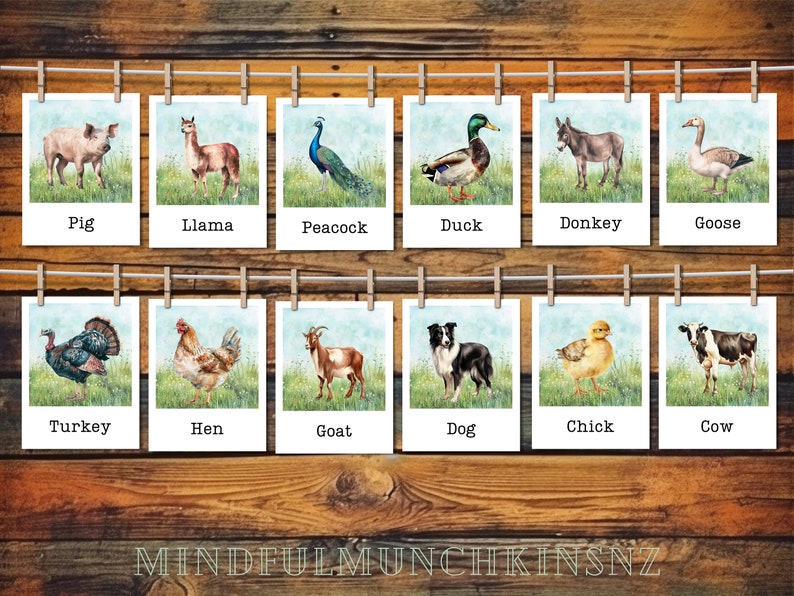 Farm Animals 3-part Nomenclature Cards Polaroid-style and Watercolour ...