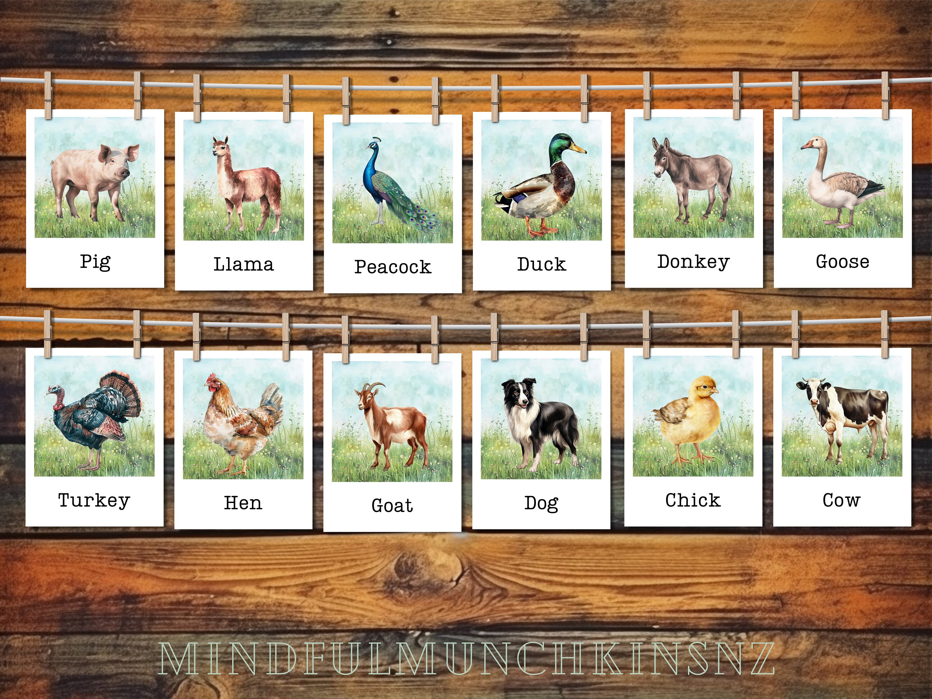 Farm Animals 3-part Nomenclature Cards Polaroid-style and Watercolour ...