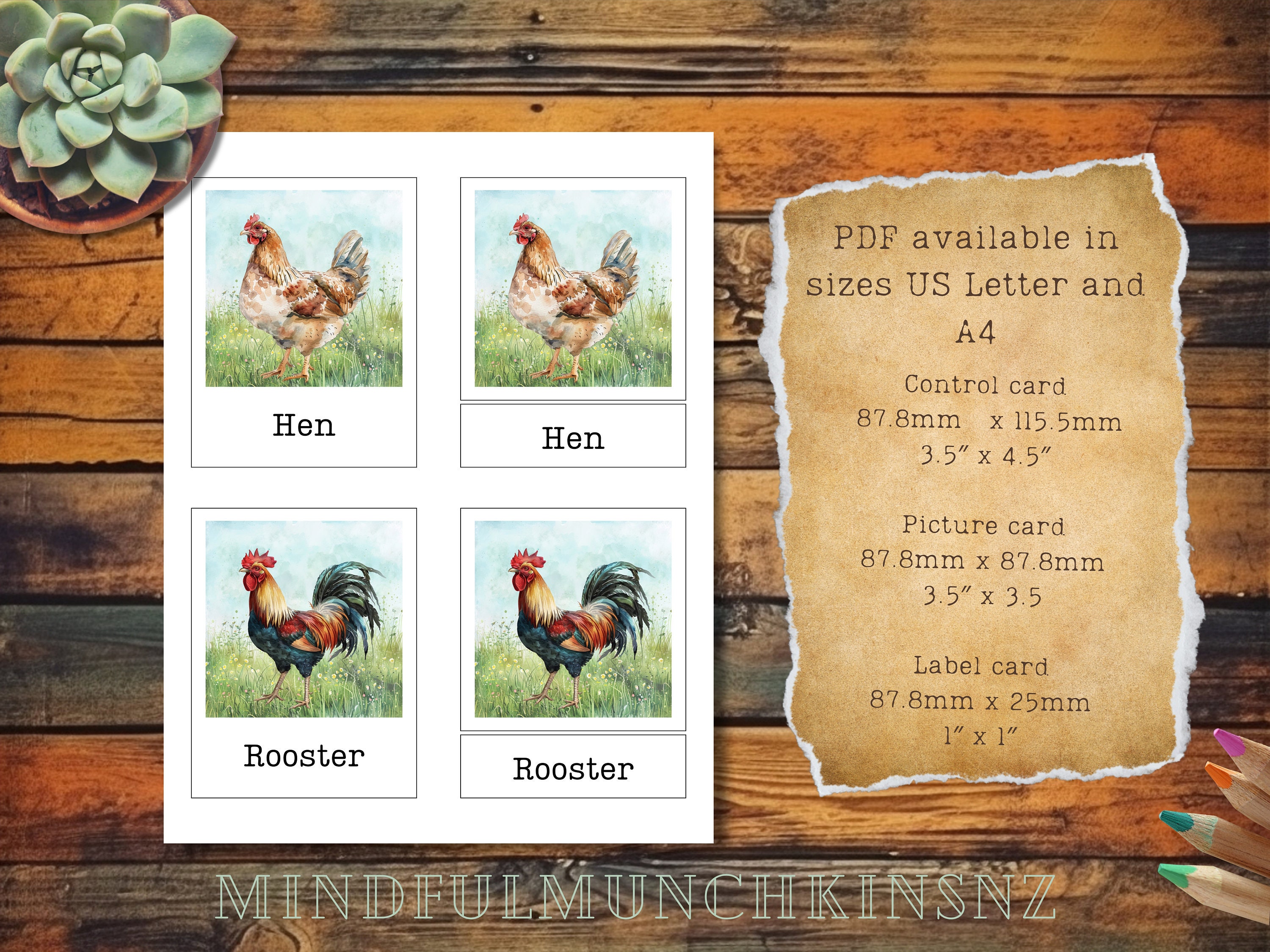 Farm Animals 3-part Nomenclature Cards Polaroid-style and Watercolour ...