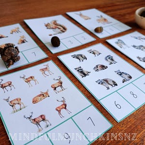 Woodland Count and Clip Cards for Toddlers and Preschoolers | Numbers 1 ...