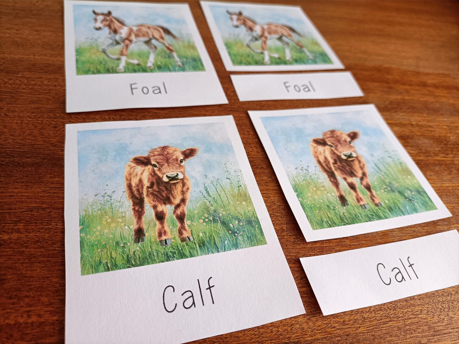 Farm Animals 3-part Nomenclature Cards | Polaroid-style and Watercolour ...