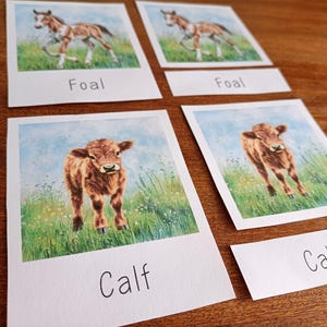 Farm Animals 3-part Nomenclature Cards | Polaroid-style and Watercolour ...