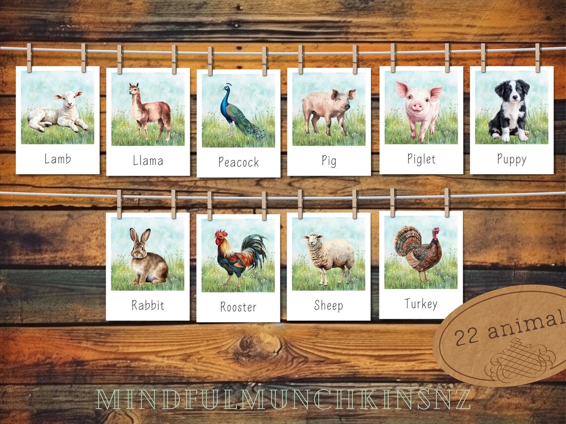 Farm Animals 3-part Nomenclature Cards | Polaroid-style and Watercolour ...