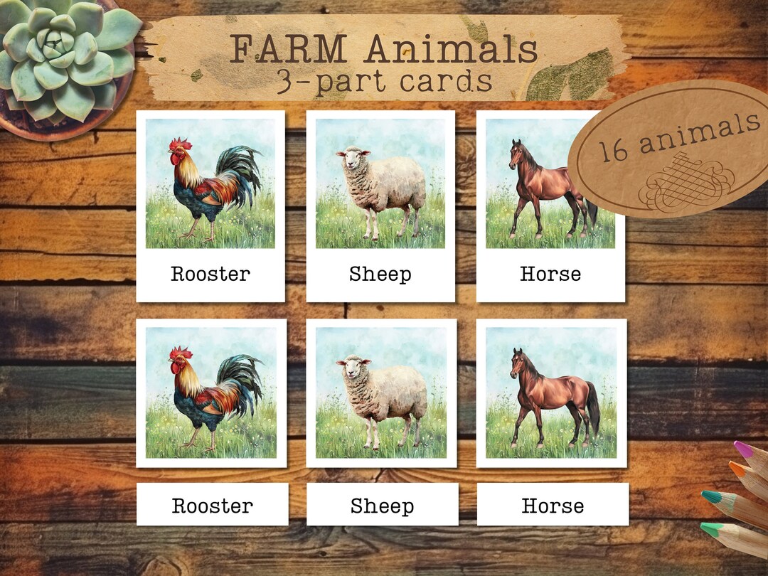 Farm Animals 3-part Nomenclature Cards Polaroid-style and Watercolour ...