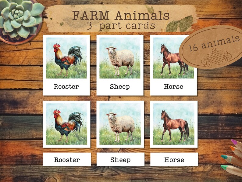 Farm Animals 3-part Nomenclature Cards Polaroid-style and Watercolour ...