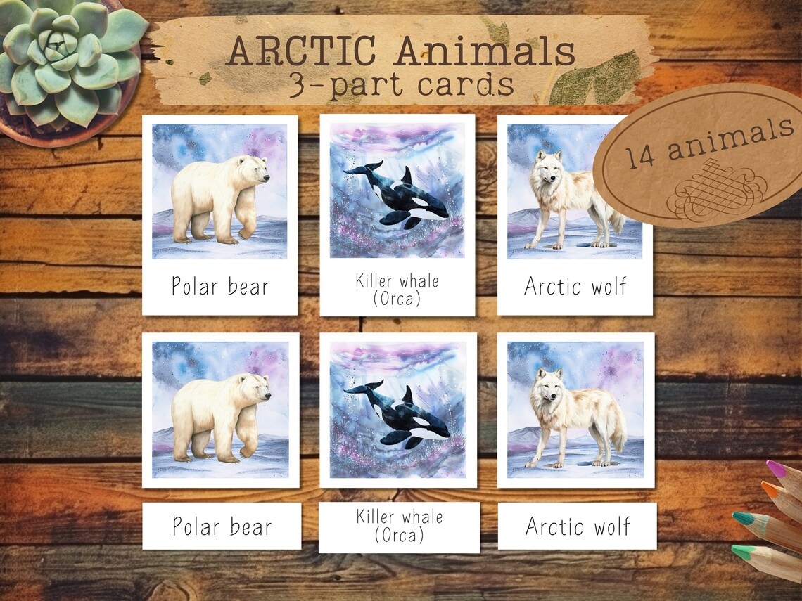 Arctic Animals 3-part Nomenclature Cards | Polaroid-style and ...