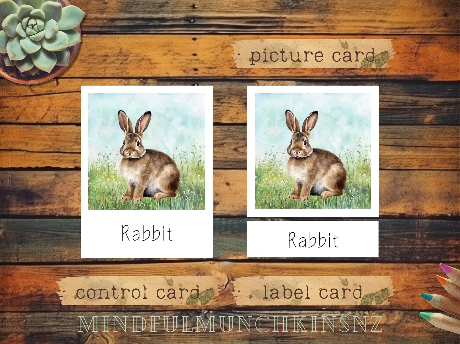 Farm Animals 3-part Nomenclature Cards | Polaroid-style and Watercolour ...