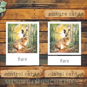 Woodland Animals 3-part Nomenclature Cards | Polaroid-style Watercolour ...