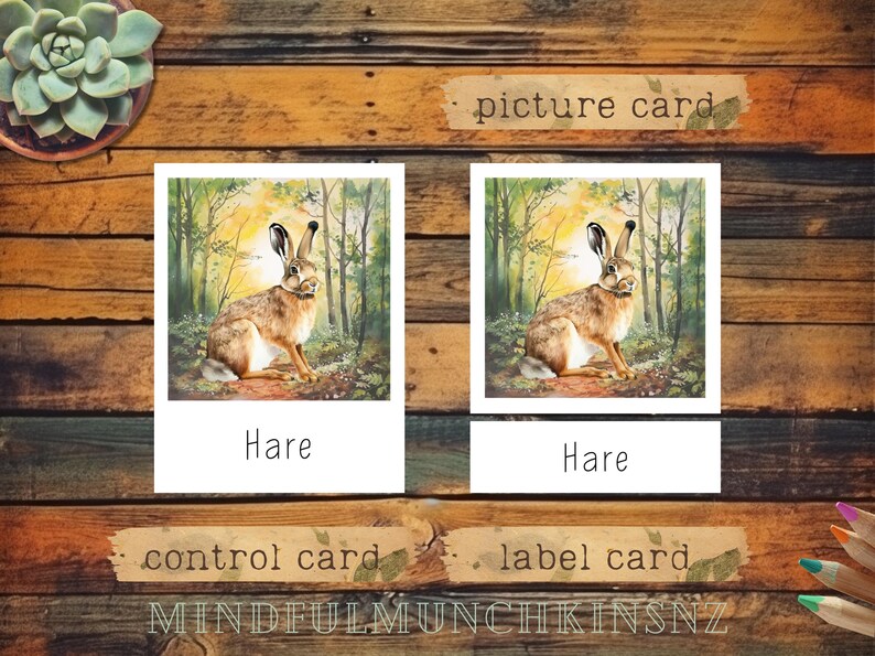 Woodland Animals 3-part Nomenclature Cards | Polaroid-style Watercolour ...