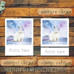 Arctic Animals 3-part Nomenclature Cards | Polaroid-style and ...